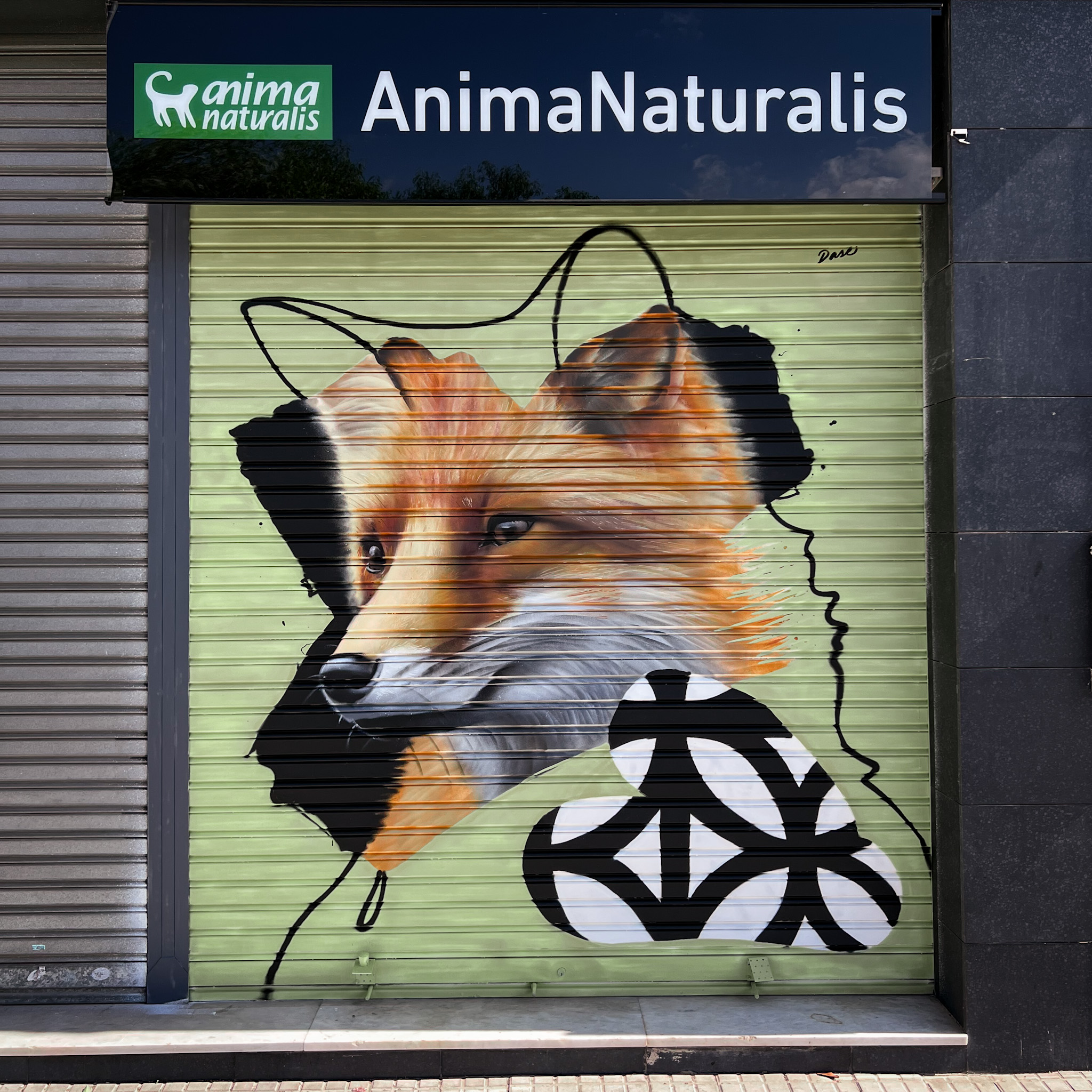 Graffiti en Persianas y Puertas de Garaje por un Artista · Dase